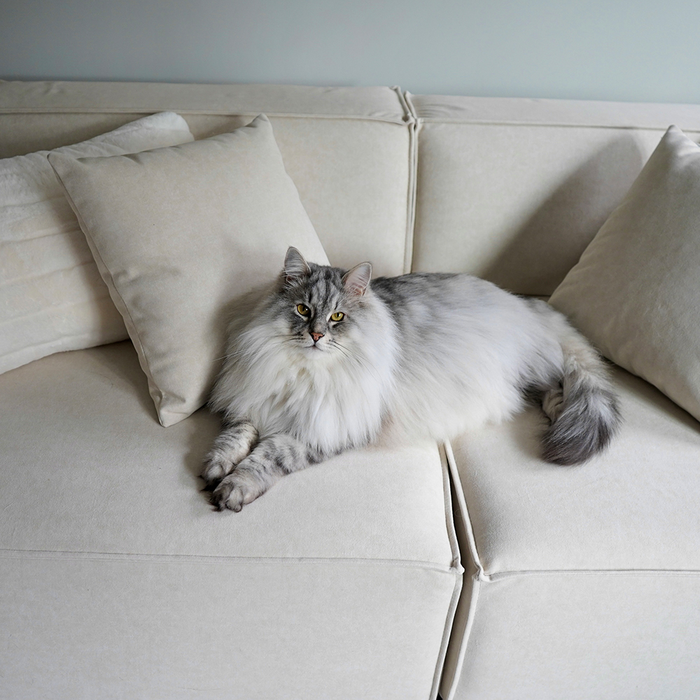 Modern Modular Sofa with Square Track Arms