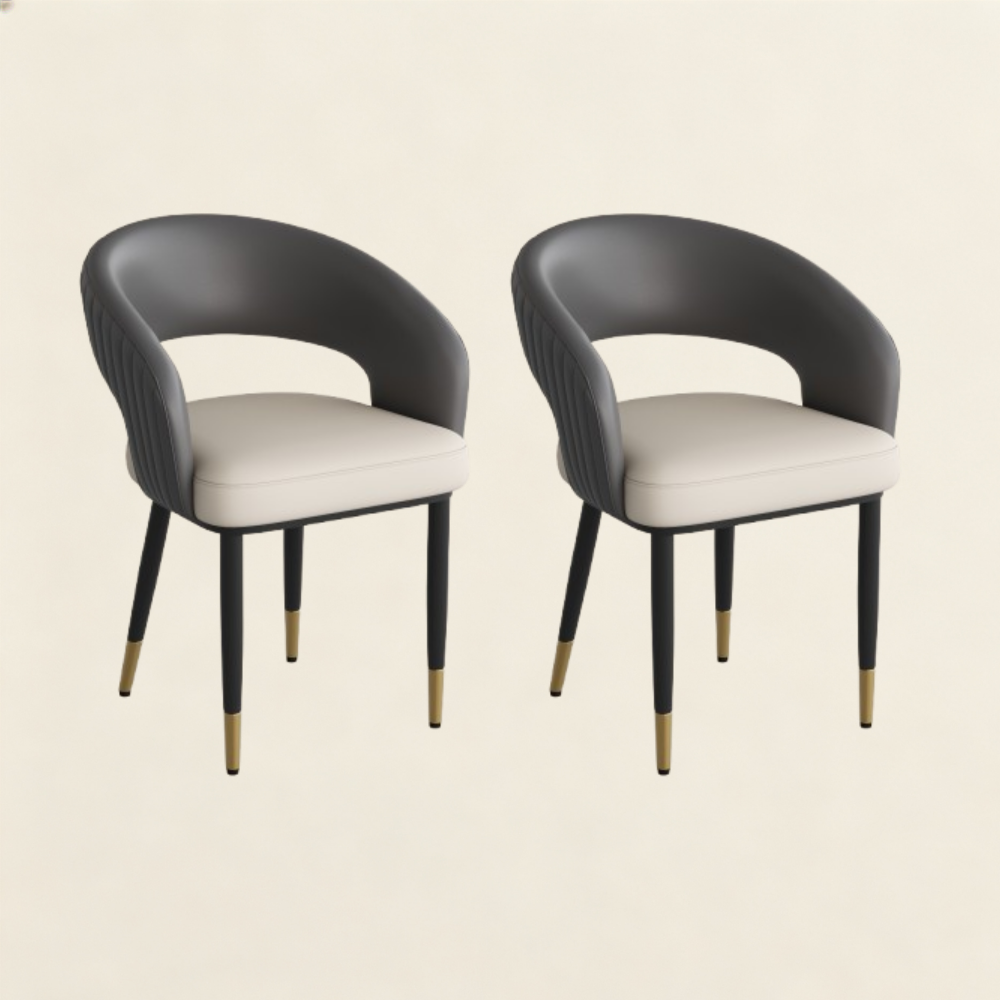 Modern Upholstered Dining Chairs | Povison