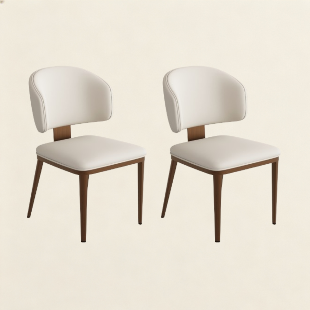 Modern Upholstered Dining Chairs | Povison